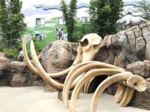 Art of Animation Resort Review: Finding Nemo Suite With a Family of 5 - My Pixie Dust Trip